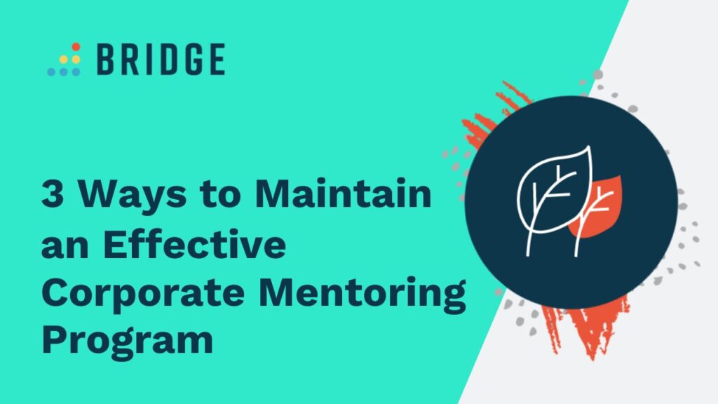 How to Maintain an Effective Mentoring Scheme | Bridge