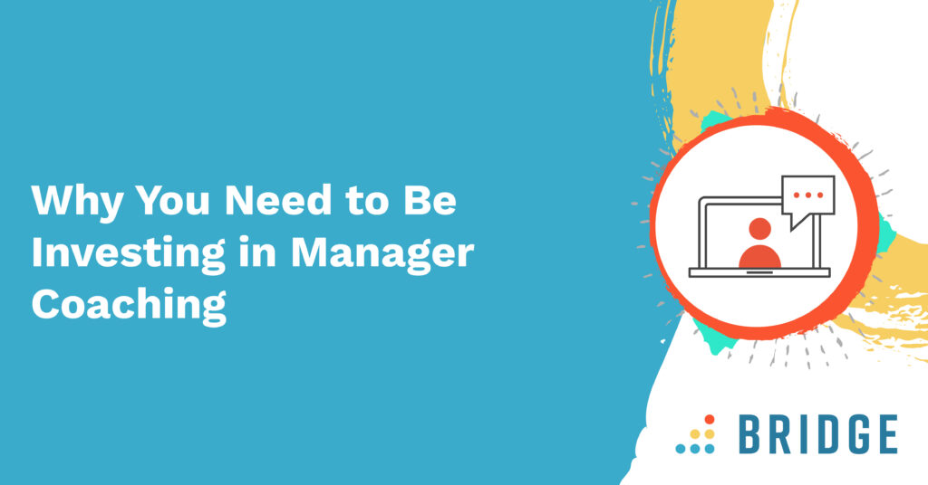 3 Insights About Performance and Coaching and Mentoring | Bridge ...